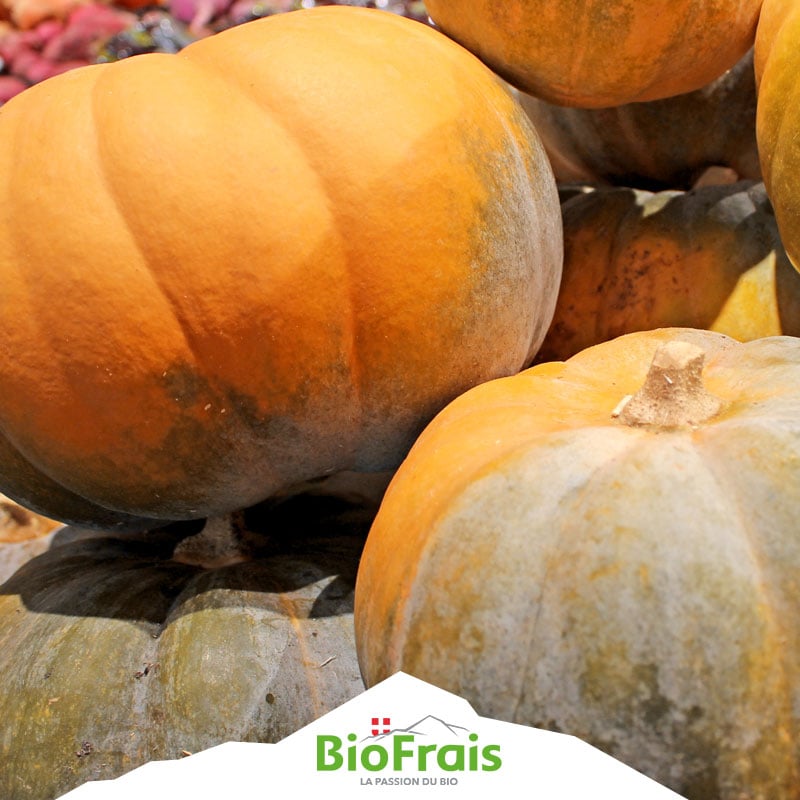 Les variétés de courges bio | BioFrais - Le grand marché du Bio